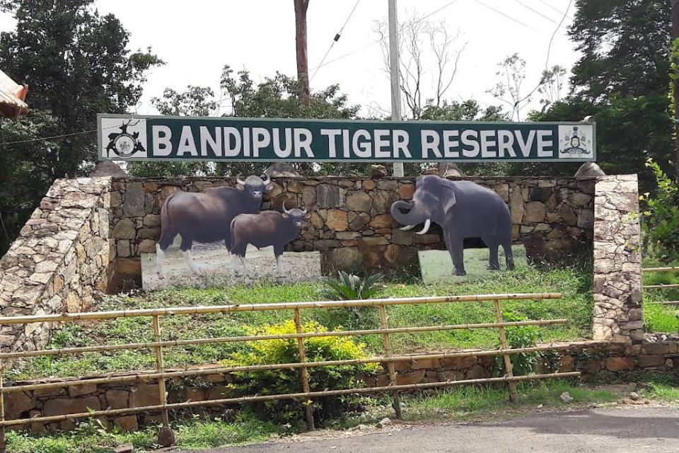 Bandipur National Park (Timings, Entry Fee, Safari, Images, Reviews ...